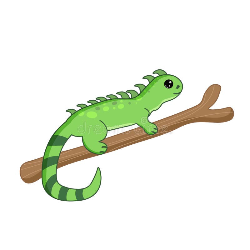 Vector Illustration of a Happy Iguana. Cute Cartoon Iguana Isolated on ...