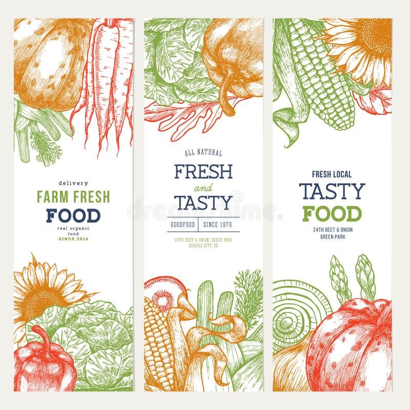 Healthy Organic Meal Vertical Banner Collection. Fresh Vegetables ...