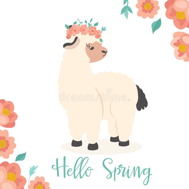Vector Illustration. Hello Spring Alpaca Stock Vector - Illustration of ...