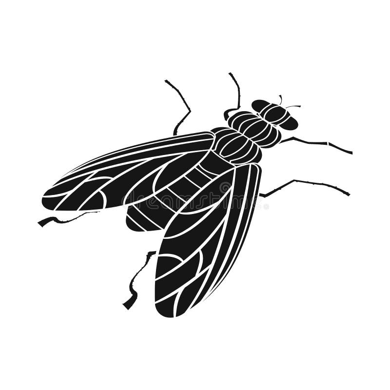 Vector Illustration of Housefly and Pest Symbol. Collection of Housefly ...