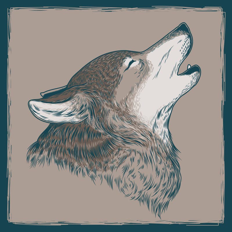 Vector Illustration of a Howling Wolf Stock Vector - Illustration of ...