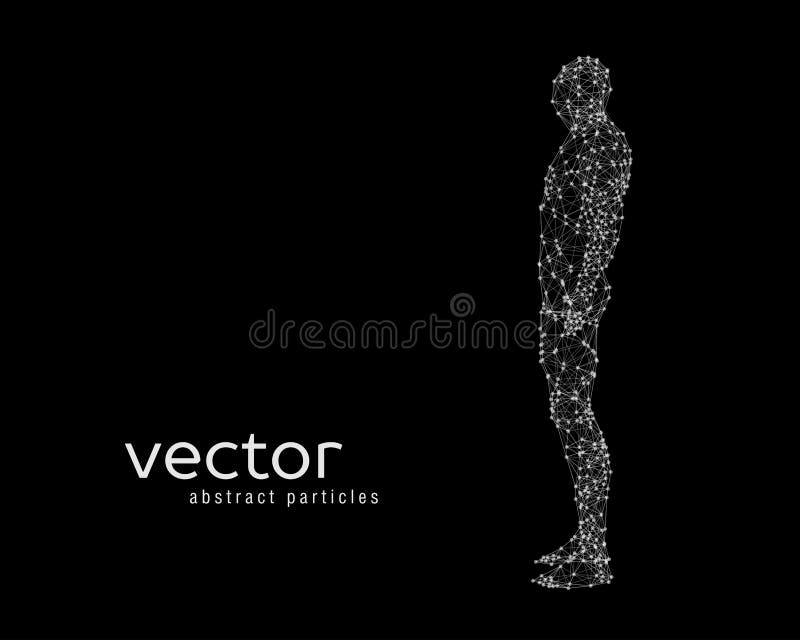 Vector Illustration of Human Body Stock Vector - Illustration of ...
