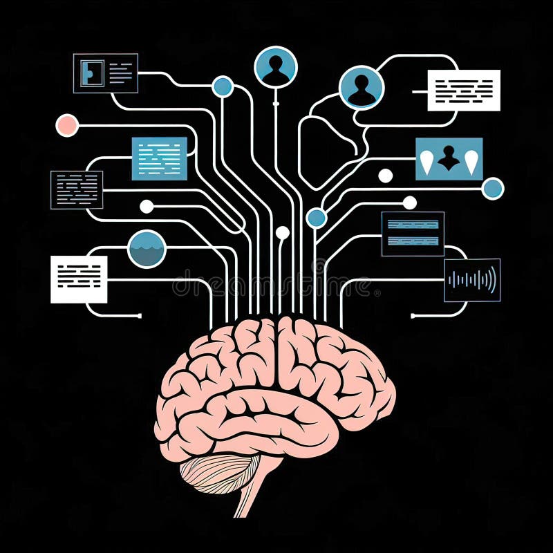 Brain External Stock Illustrations – 325 Brain External Stock ...