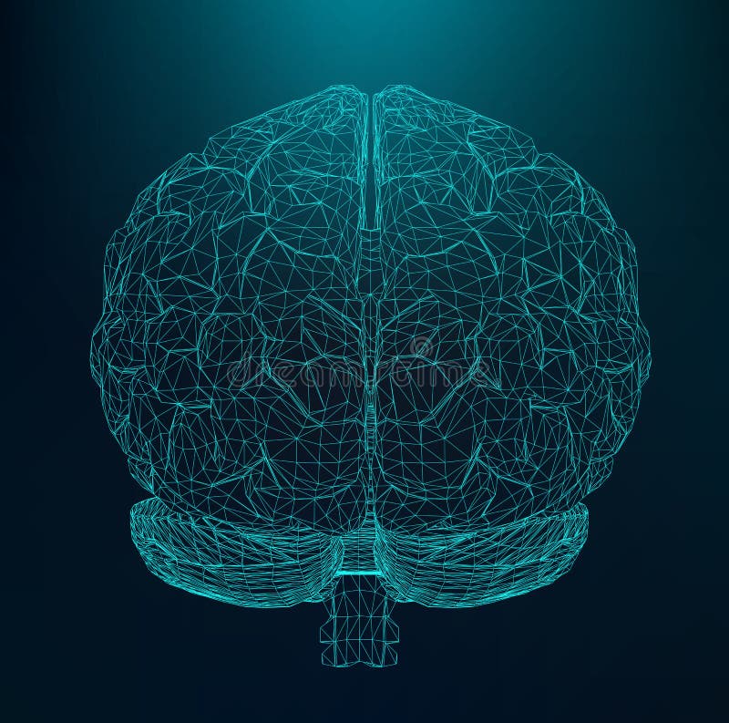 Vector Illustration Human Brain. the Structural Grid of Polygons ...