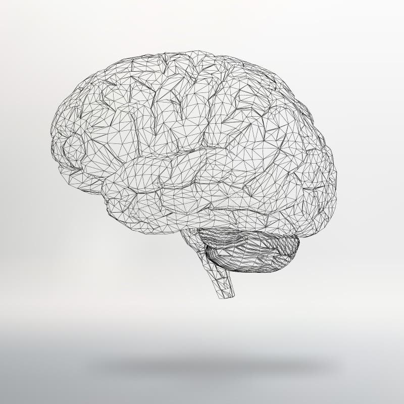 Vector Illustration Human Brain. the Structural Grid of Polygons ...
