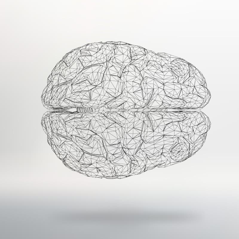 Vector Illustration Human Brain. the Structural Grid of Polygons ...