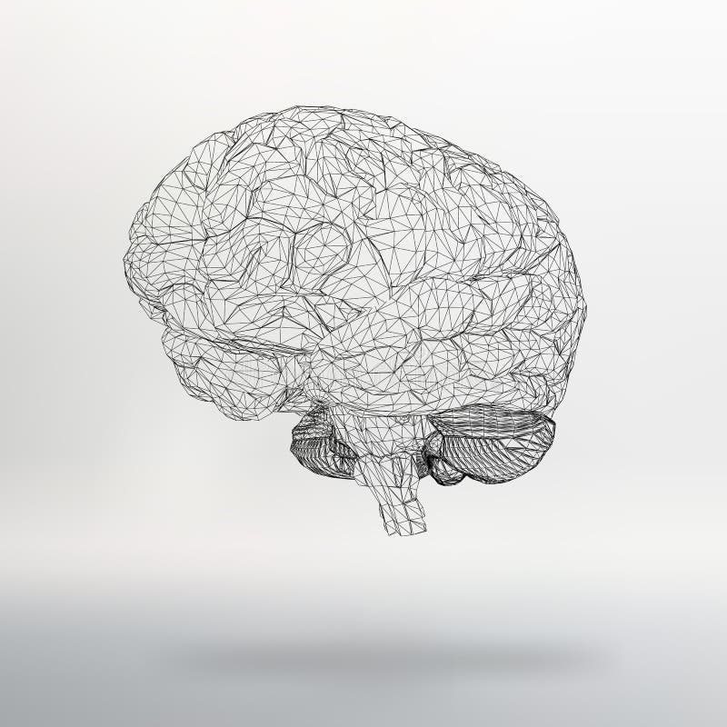 Vector Illustration Human Brain. the Structural Grid of Polygons ...