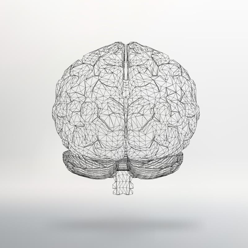 Vector Illustration Human Brain. the Structural Grid of Polygons ...