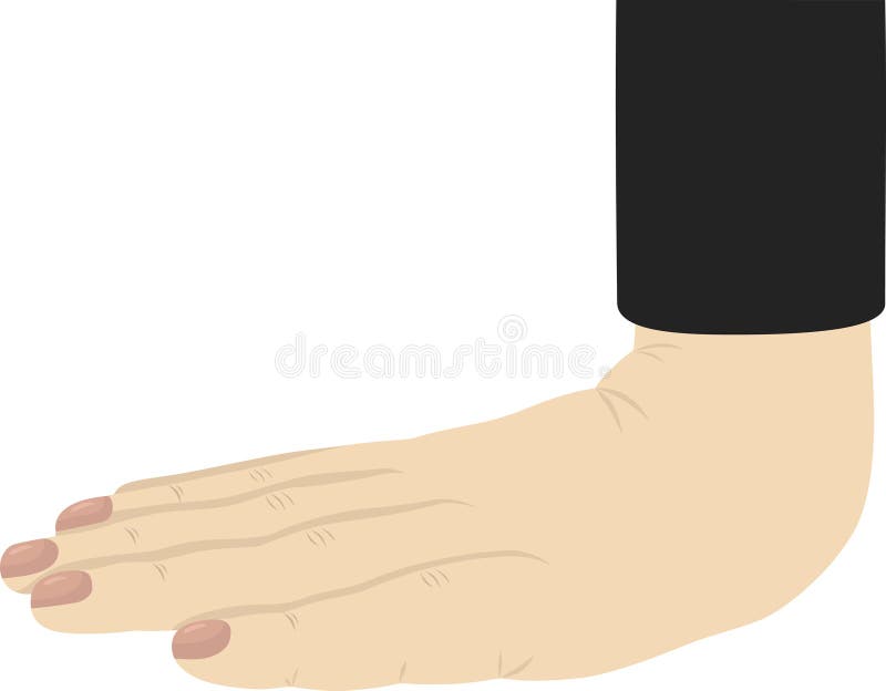 Vector Illustration of Human Hand. Stock Vector - Illustration of sign ...