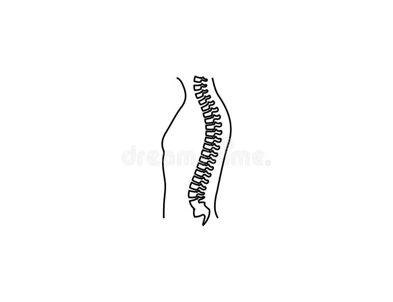 Human Spine, Anatomy, Backbone Icon. Vector Illustration. Stock Vector ...