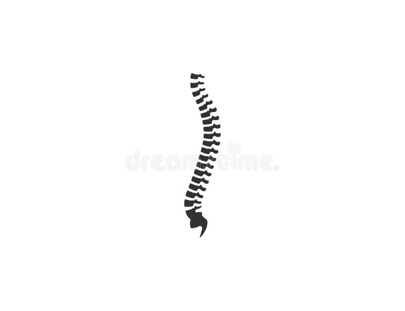 Human Spine, Anatomy, Backbone Icon. Vector Illustration Stock Vector ... Human Spine, Anatomy, Backbone Icon. Vector Illustration Stock Vector ...