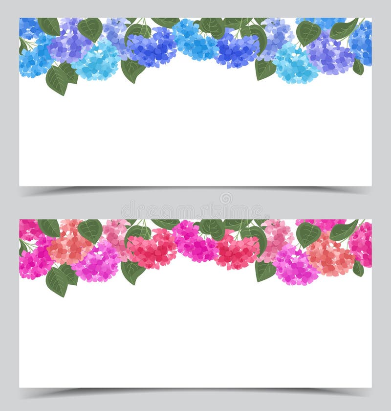 Vector hydrangea flower stock vector. Illustration of graphic - 119181486