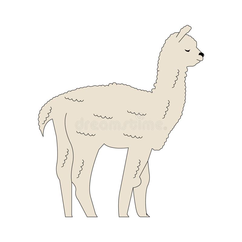 Lama Head Icon Stock Illustrations – 593 Lama Head Icon Stock ...