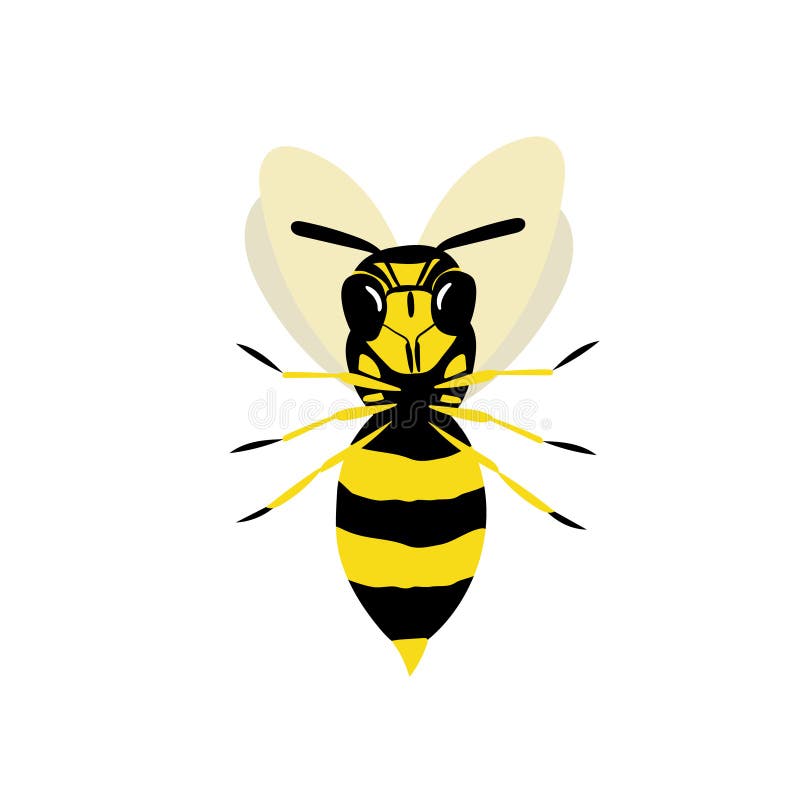 Bottom View Wasp Stock Illustrations – 4 Bottom View Wasp Stock ...