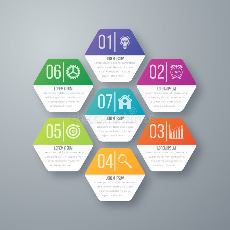 Vector Illustration Infographics Seven Hexagons Stock Vector ...