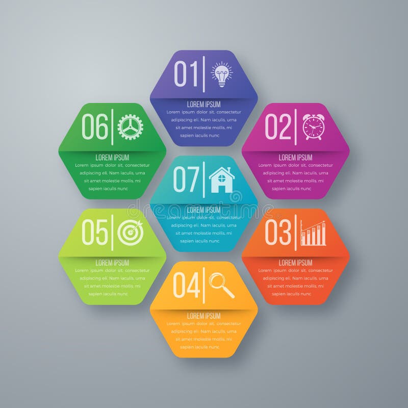 Vector Illustration Infographics Seven Hexagons Stock Vector ...