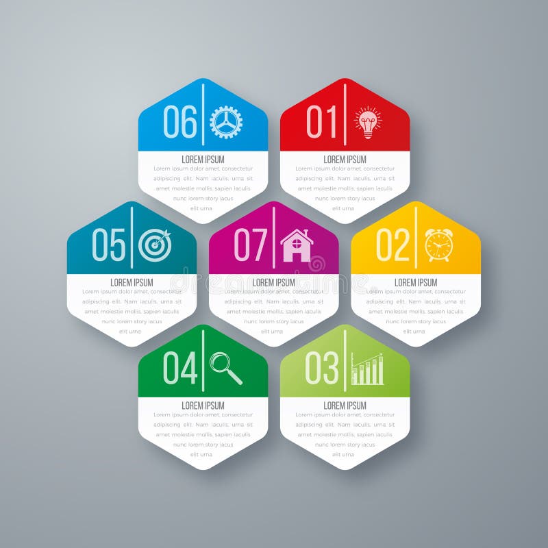 Vector Illustration Infographics Seven Hexagons Stock Vector ...