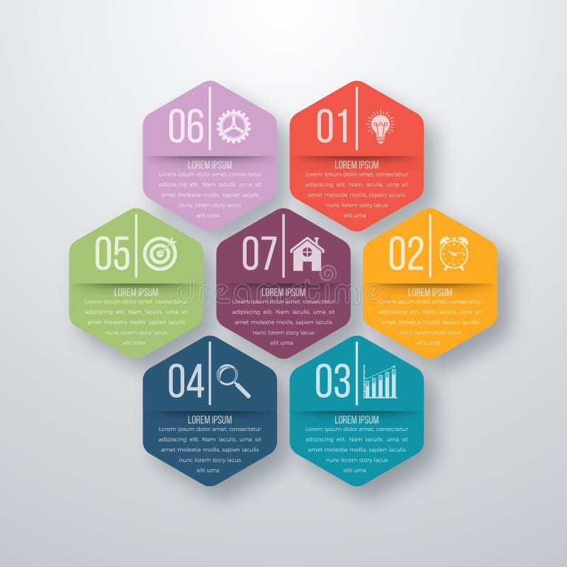 Vector Illustration Infographics Seven Hexagons Stock Vector ...