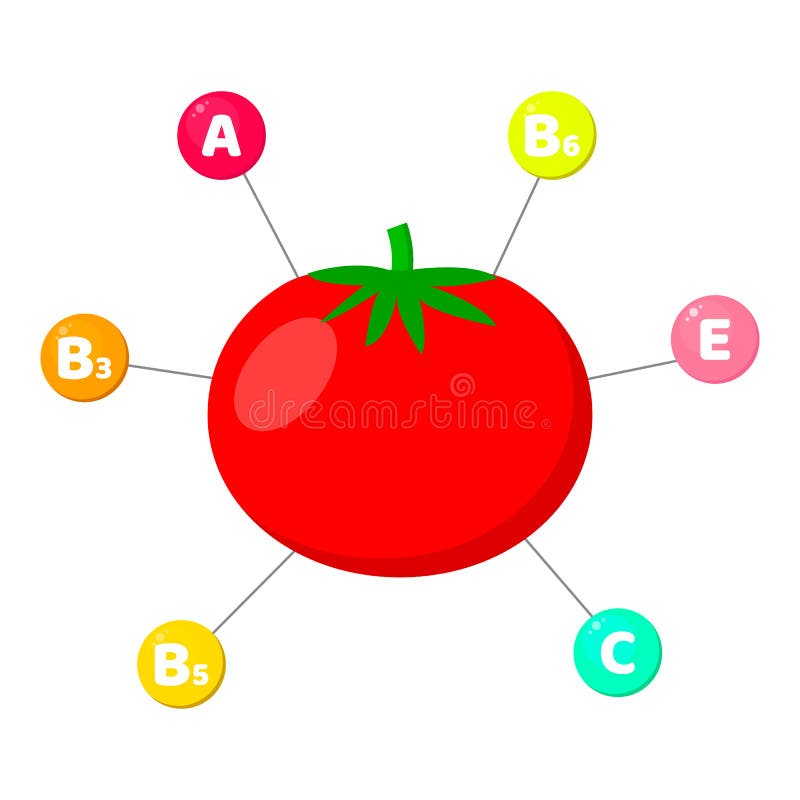 Tomato Infographics and Vitamins Stock Vector - Illustration of cherry ...