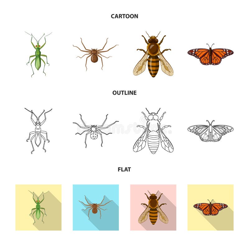 Vector Design of Insect and Fly Sign. Set of Insect and Element Vector ...