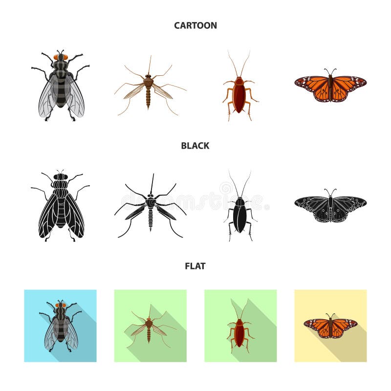 Vector Illustration of Insect and Fly Logo. Set of Insect and Element ...