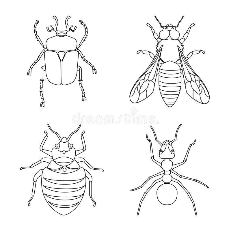 Termite Hive Stock Illustrations – 109 Termite Hive Stock Illustrations ...