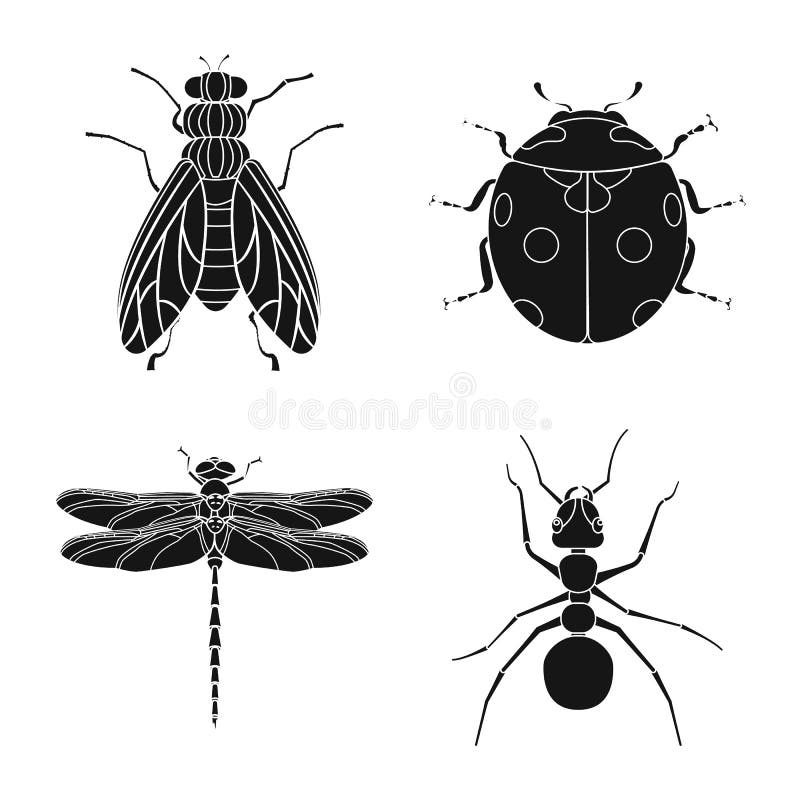 Vector Design of Insect and Fly Symbol. Collection of Insect and ...