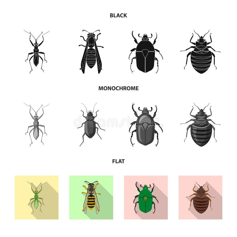 Vector Design of Insect and Fly Symbol. Collection of Insect and ...