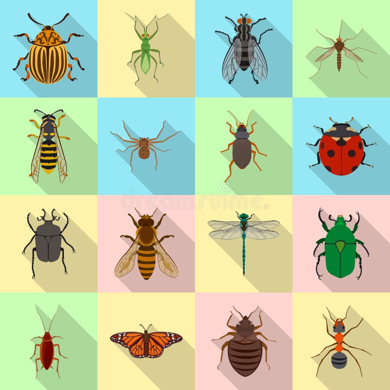 Vector Illustration of Insect and Fly Symbol. Collection of Insect and ...