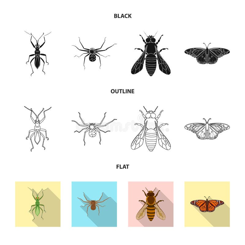 Vector Illustration of Insect and Fly Symbol. Collection of Insect and ...