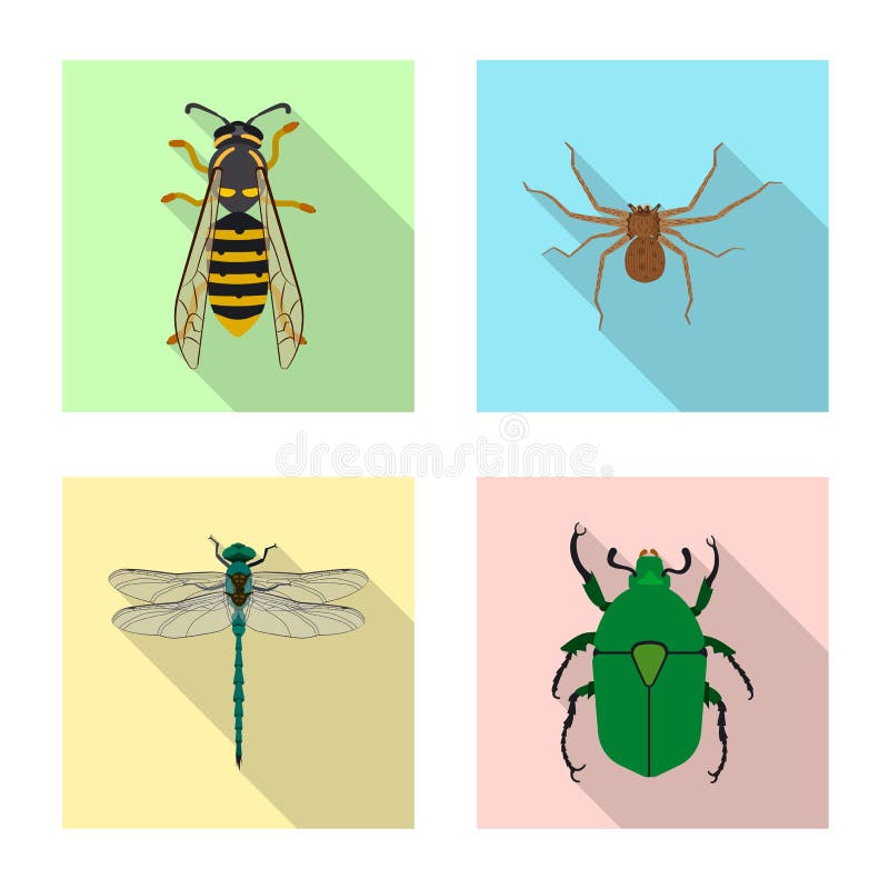 Vector Illustration of Insect and Fly Symbol. Collection of Insect and ...