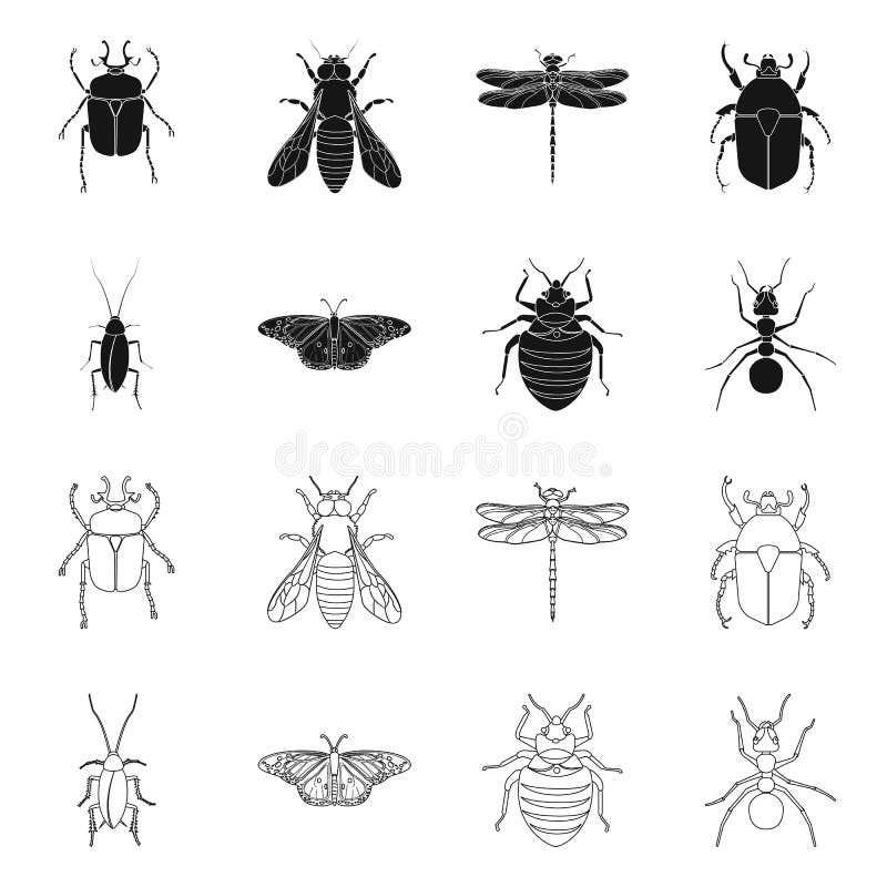 Vector Illustration of Insect and Fly Symbol. Set of Insect and Element ...
