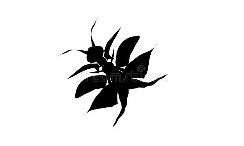 Vector Illustration, Insect Silhouette. Winged Insects Solated White ...