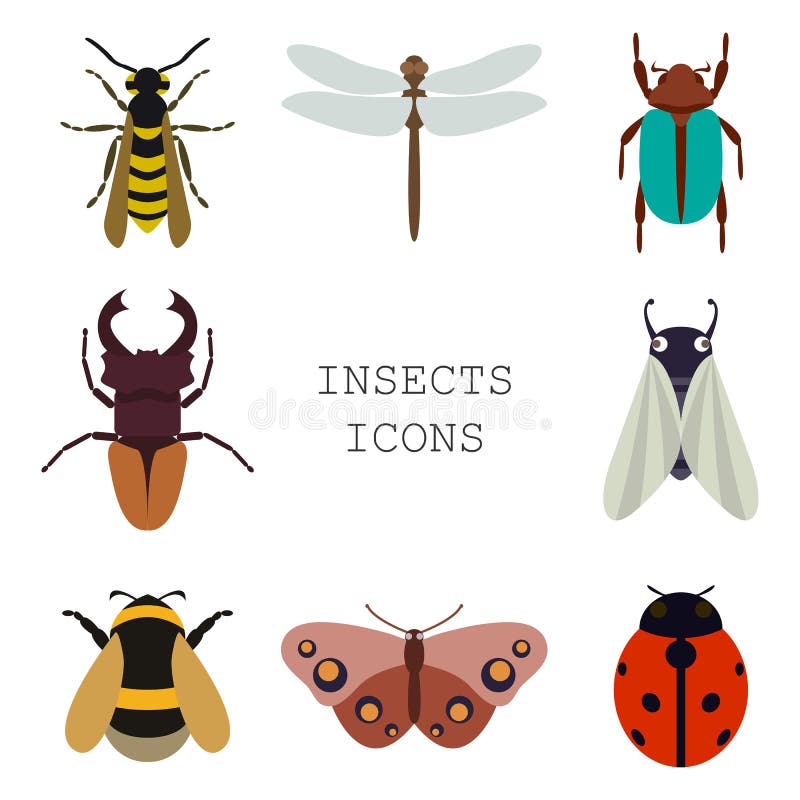 Vector Illustration of Insects Icons Color Set Stock Vector ...