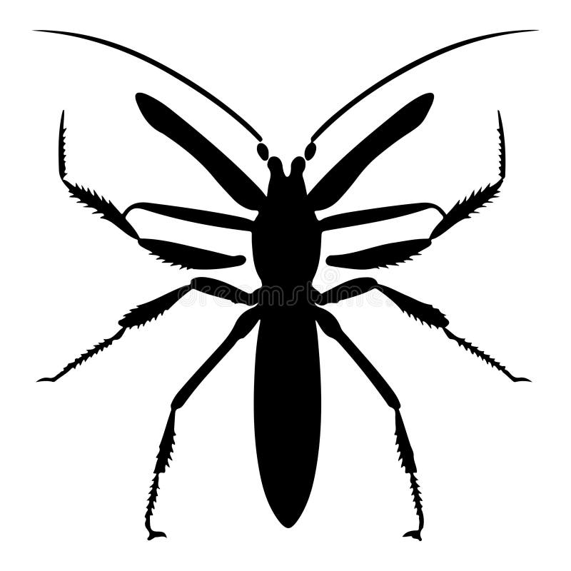 Vector Illustration of Insects Silhouettes on White Background. Stock ...