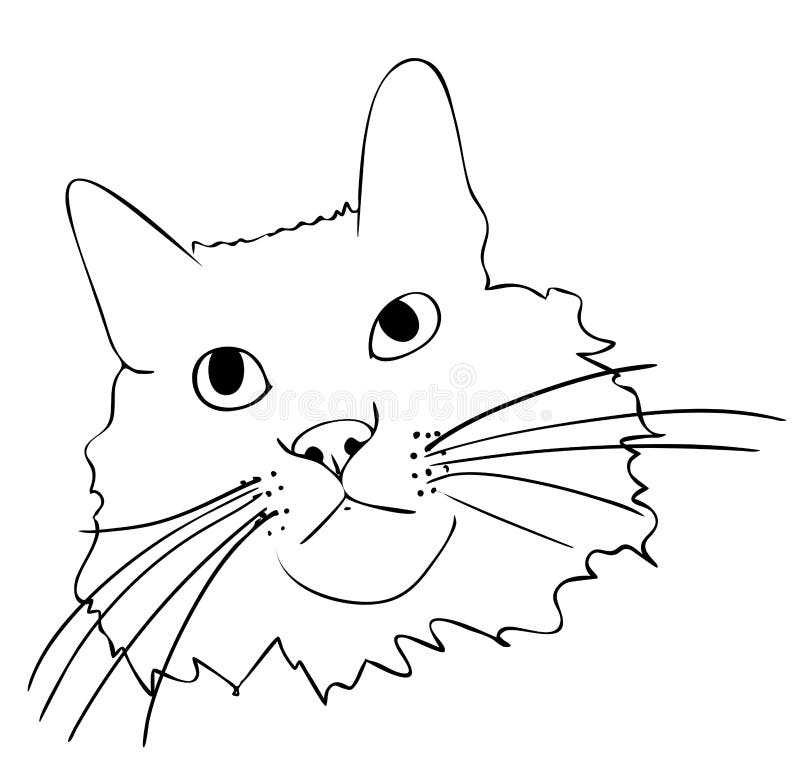 Isolated Cat Muzzle in Black and White Colors, Outline Hand Painted ...