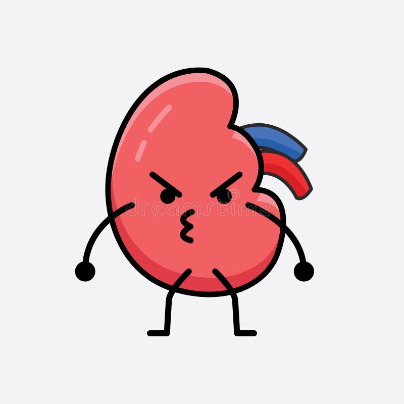 Vector Illustration of Kidney Character with Cute Face and Simple Body ...