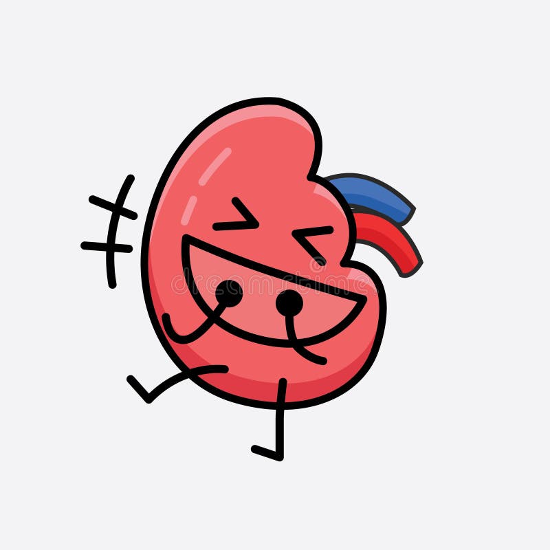 Vector Illustration of Kidney Character with Cute Face and Simple Body ...