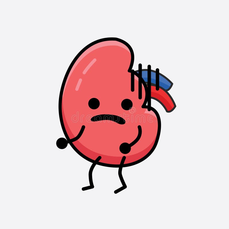 Vector Illustration of Kidney Character with Cute Face and Simple Body ...