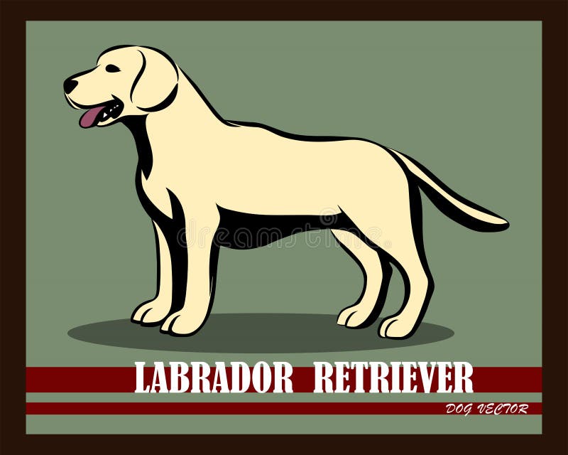 Labrador Retriever Dog Vector Eps 10 Stock Vector - Illustration of ...