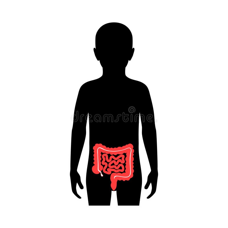 Young Boy Colon Stock Illustrations – 38 Young Boy Colon Stock ...