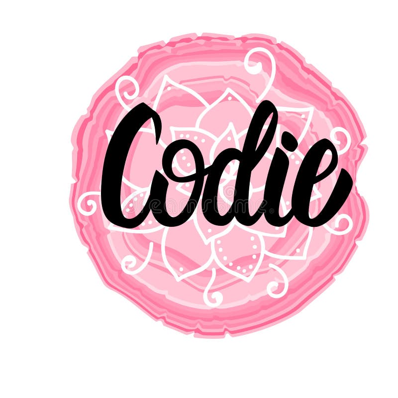 Codie Name Card with Lovely Pink Roses. Vector Illustration Stock ...