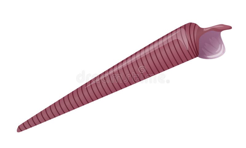 Spiral Seashell Icon. Hand-drawn in the Style of Doodles, a Long Spiral ...