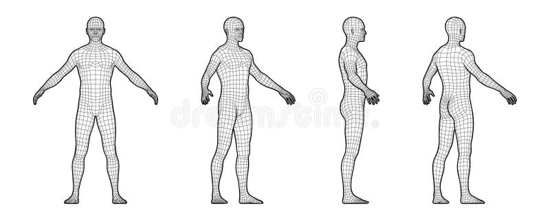 Illustration of a Man S Body from Different Perspectives Stock Vector ...