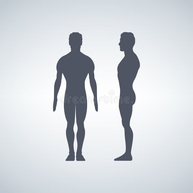 Man Body Anatomy, Front, Back And Side Stock Vector - Illustration of ...