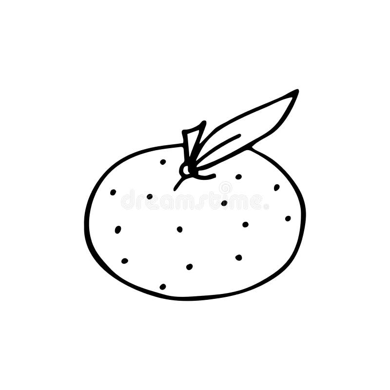 Vector Illustration of Mandarin with Leaf in Doodle Style Stock Vector ...