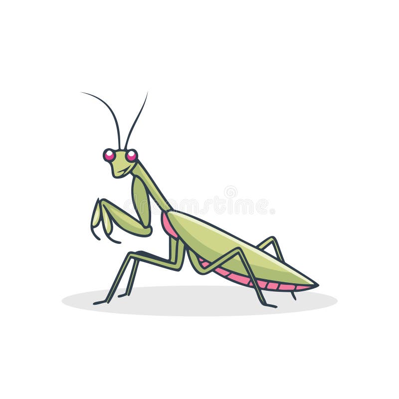 Vector Illustration of Mantis, Tinny Insect Character for Decor Stock ...