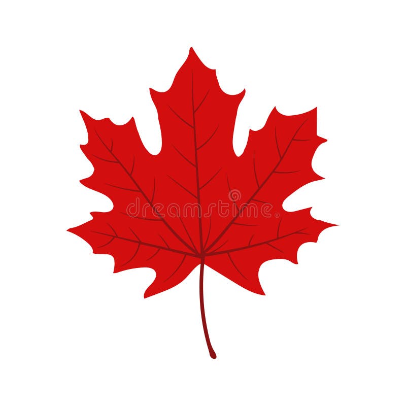 Vector Illustration of Maple Leaf Icon in Flat Style. Stock Vector ...