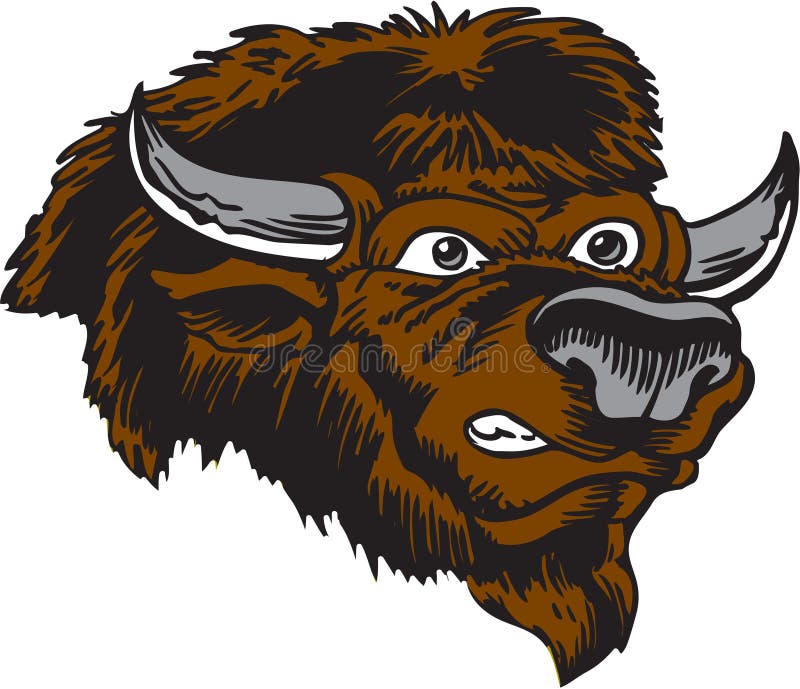 Bison Head Vector Illustration Stock Vector - Illustration of vector ...