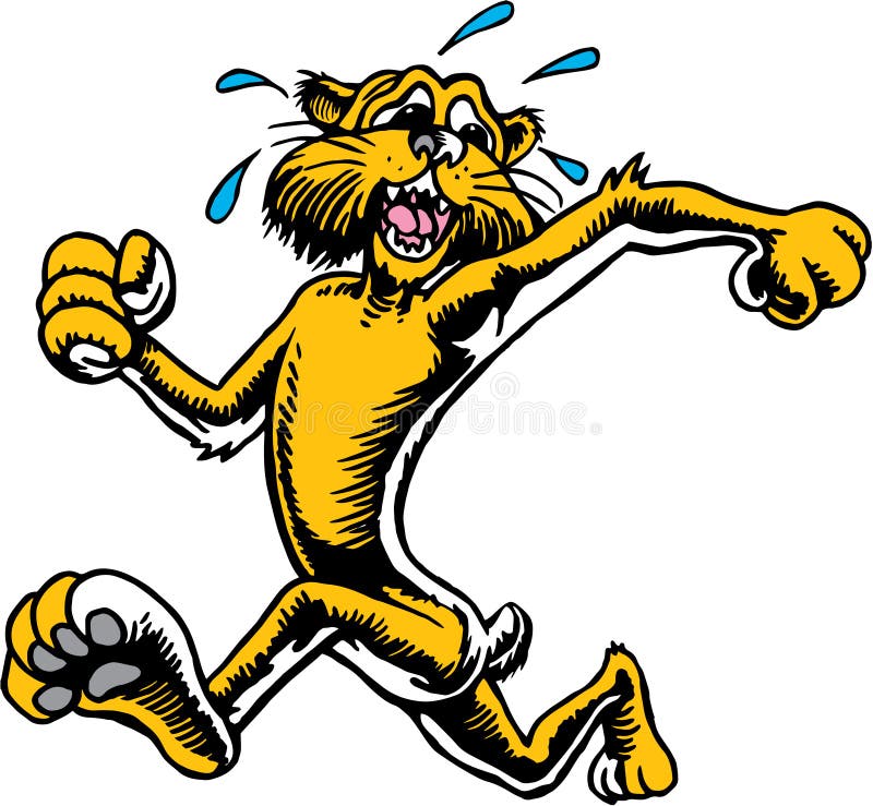 Wildcat Running Scared Vector Illustration Stock Vector - Illustration ...
